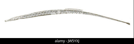 Dorichthys cunculus Achilles 174 Stock Photo - Alamy