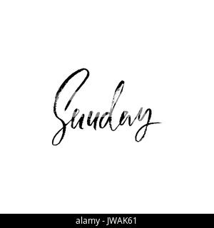 Sunday. Day of a week. Handdrawn modern brush lettering. Vector ...