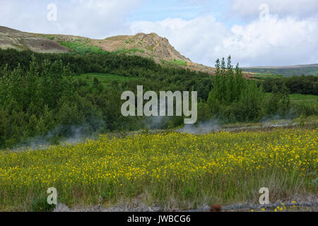 Welcome to Geysir and the Surrounding area, Iceland Stock Photo - Alamy