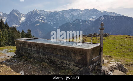Water-trough in an alpine meadow in the Swiss Alps Stock Photo - Alamy