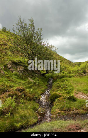Light Spout Hollow, Carding Mill Valley, Long Mynd, Shropshire, England ...