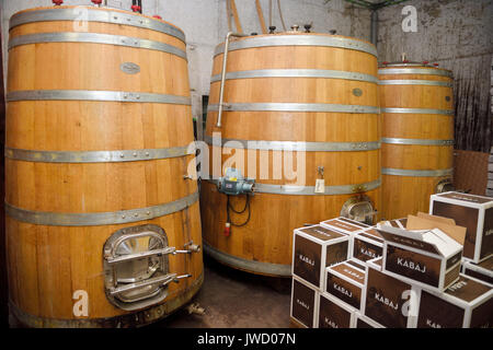 Large oak fermentation barrels of Pinot Grigio at Kabaj Morel Guest ...