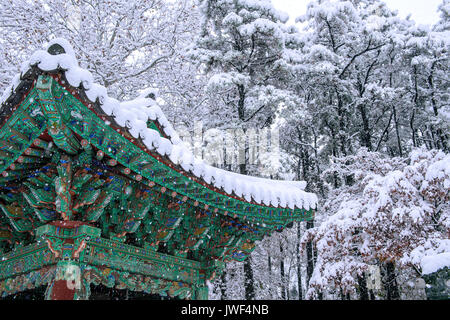 Landscape in Winter with Roof of gyeongbokgung and falling snow in ...