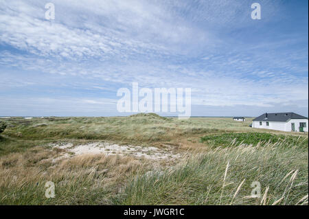 Denmark, Jutland peninsula, Esbjerg,the green areas of the town Stock ...