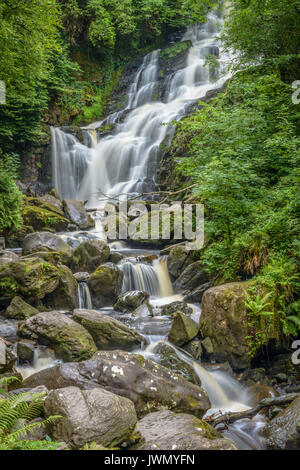 Lush and green Torc Waterfall, lower section in Killarney, County Kerry ...