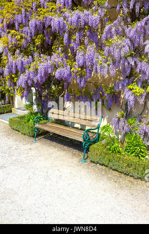 Wooden garden bench surrounded by pink roses, Great Chalfield Manor ...