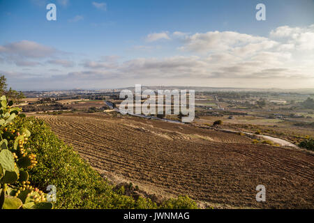 Rural landscape of Malta. Fields, exotic plants, villages Stock Photo ...
