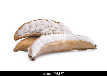 Seed pod and fluffy fiber of Kapok Ceiba pentandra Silk cotton tree ...