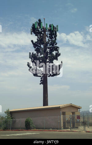 Pine tree camouflaged cellular tower in Boise, Idaho, USA Stock Photo - Alamy