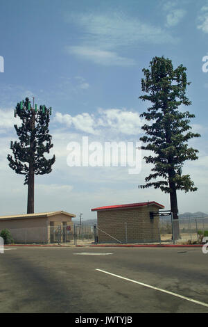 Pine tree camouflaged cellular tower in Boise, Idaho, USA Stock Photo ...