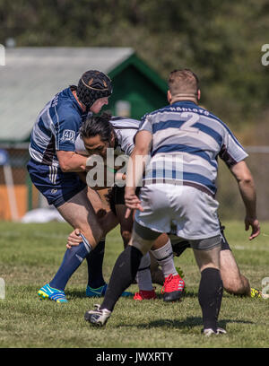 Mt. Shasta vs Modesto Harlots at the Rugby Sevens Tournament in Mount ...