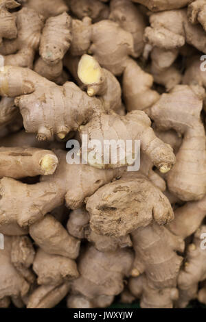 Dry ginger root Stock Photo - Alamy