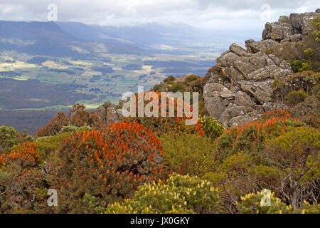 Western Bluff, Great Western Tiers, Tasmania Stock Photo - Alamy