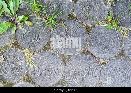 Old wooden garden path. Studio Photo Stock Photo - Alamy