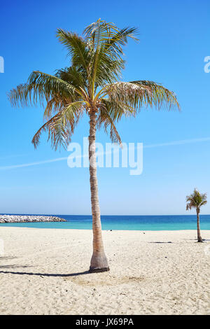 Summer holidays concept with palm trees agains pink sky with clouds ...