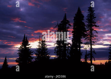 Sunset, Mt Spokane State Park, Washington Stock Photo - Alamy