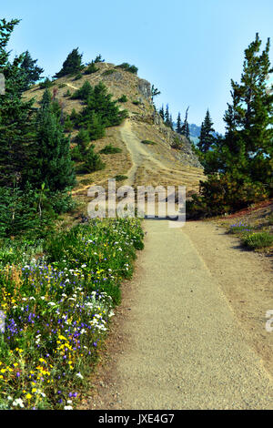 Olympic National Park has three distinct ecosystems which are sub ...