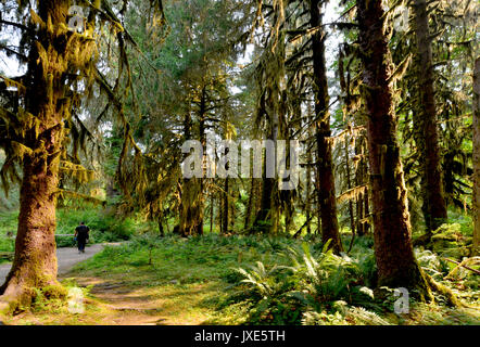 Olympic National Park has three distinct ecosystems which are sub ...
