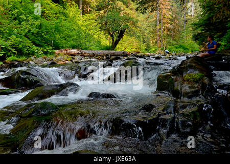 Olympic National Park has three distinct ecosystems which are sub ...