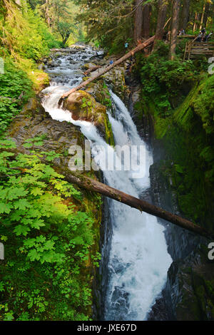 Olympic National Park has three distinct ecosystems which are sub ...