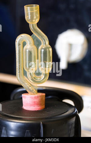 Bubbler airlock as used in fermentation of beer and wine homebrewing ...