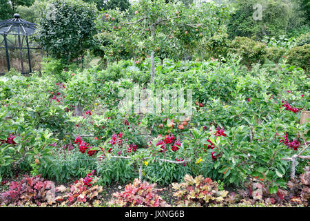 Step over apple tree Stock Photo - Alamy