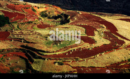 Red clay land of Dongchuan District,Yunnan Province,China Stock Photo ...