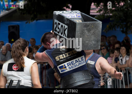 Basque stone lifter (harrijasotzaile) lifting a round stone in a ...