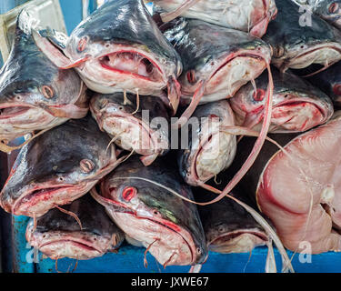 Fresh Fish For Sale In The Mercado Central, Santiago, Chile Stock Photo ...
