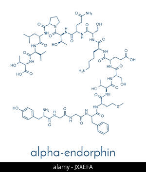 Alpha-endorphin endogenous opioid peptide molecule. Skeletal formula ...
