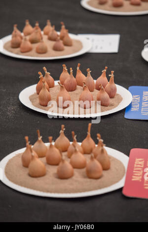 Shallots displayed at Malvern Autumn Show, Three Counties Showground ...