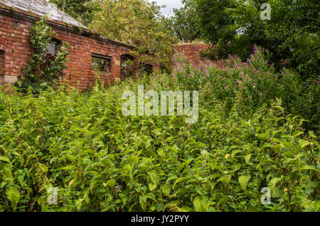 Old Farm, Keyham, Leicestershire Stock Photo - Alamy