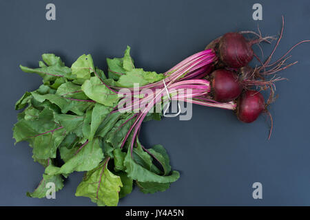 Five beets with the greens angled on a white background. They are tied ...