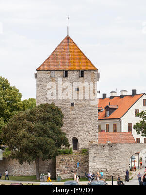 Kruttornet City Wall tower in Visby Stock Photo - Alamy
