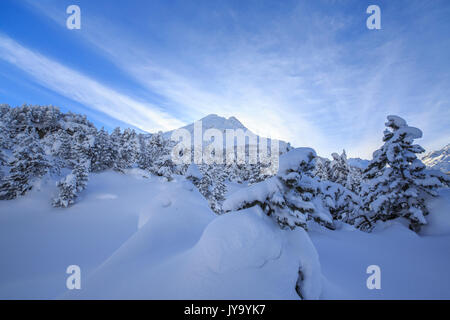 The heavy snowfall covered trees and the peaks around Maloja Canton of ...
