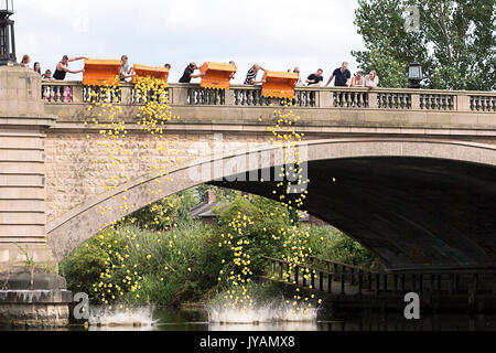 1000 yellow plastic ducks are tipped into the River Mersey from ...