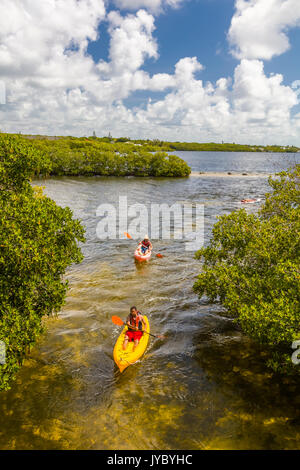 People kayaking in John Pennekamp State Parkin Key Largo in the Florida ...