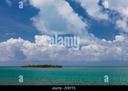 Small island off the Florida Keys Stock Photo - Alamy