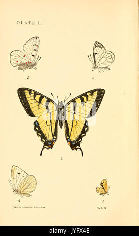 This manual provides detailed illustrations and descriptions of insects ...