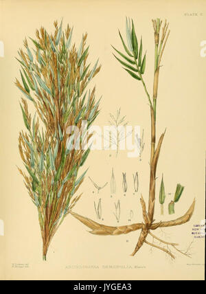 This nature-study handbook, based on Cornell's leaflets, includes ...
