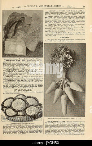 1894 garden and farm 1891 manual (Page 51) BHL42606093 Stock Photo - Alamy