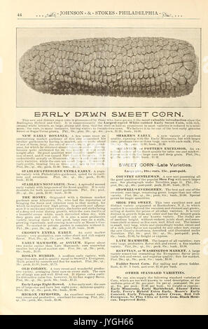 1894 garden and farm 1891 manual (Page 44) BHL42606086 Stock Photo - Alamy