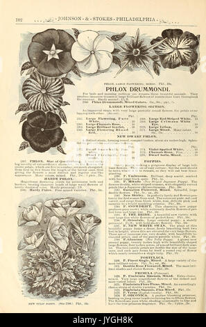 1894 garden and farm 1891 manual (Page 38) BHL42606080 Stock Photo - Alamy