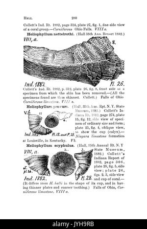 This paleontological dictionary catalogs fossil species from ...