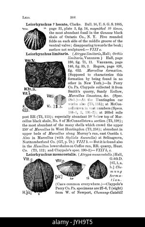 This dictionary catalogs fossil discoveries in Pennsylvania and ...
