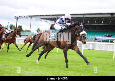 Sweetest Taboo ridden by Cian MacRedmond before winning the Best Odds ...