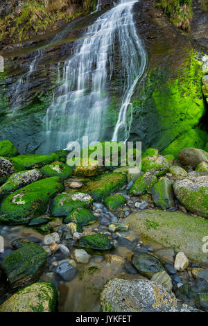 Blumenthal Falls (Oswald West State Park) along the Oregon coast. USA ...