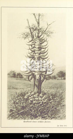 'Nama und Damara' is a historical and ethnographic work on the Nama and ...