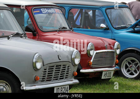 mini owners clubs cars fans of the mini at a meet or festival on the ...