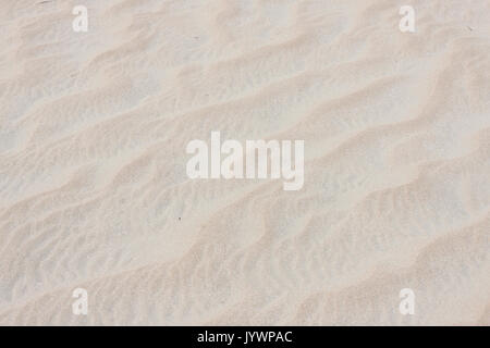 Natural background, sandy beach - Romo Island, Denmark Stock Photo - Alamy